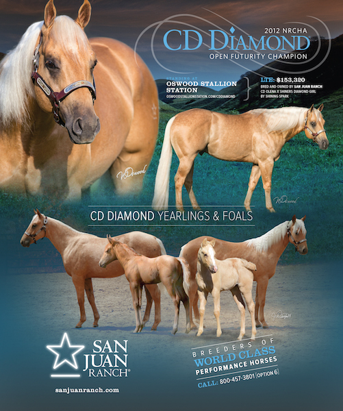 San Juan Ranch - Gelbvieh Cattle and Performance Quarter Horses