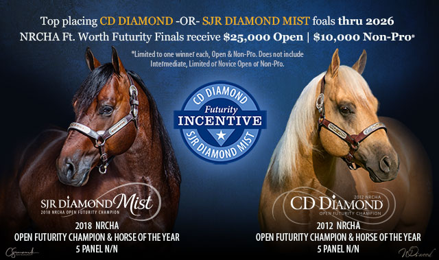 San Juan Ranch - Performance Quarter Horses