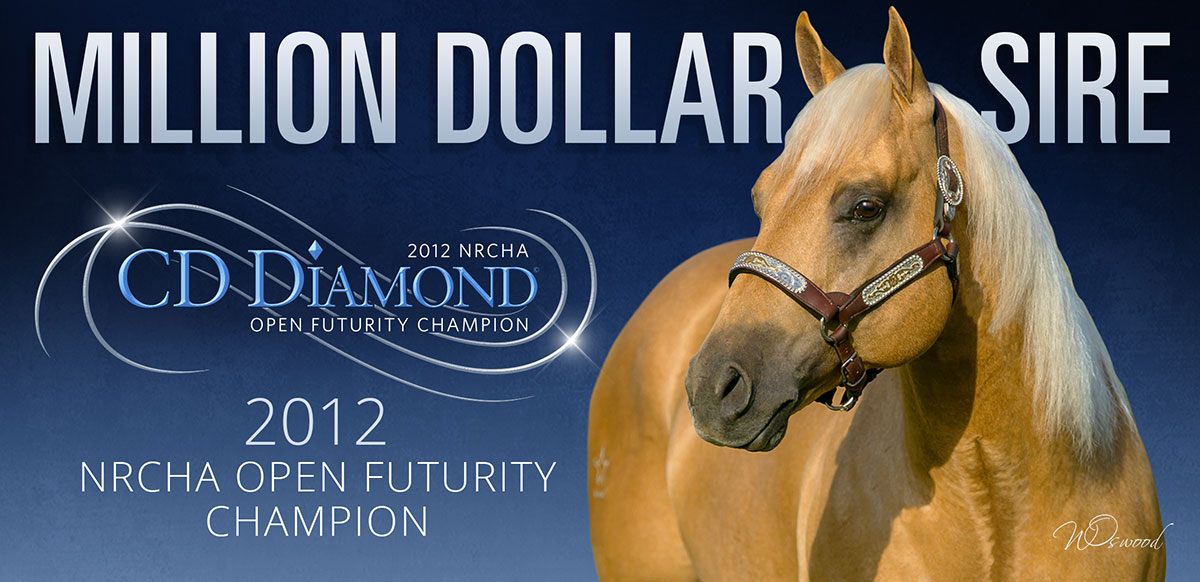 San Juan Ranch - Performance Quarter Horses