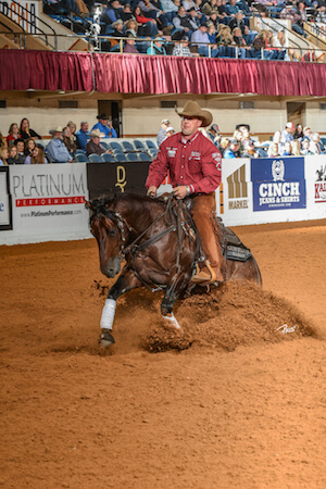 San Juan Ranch - Performance Quarter Horses