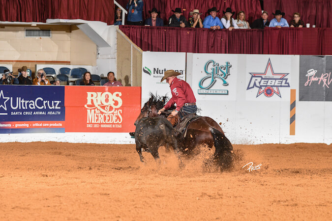 San Juan Ranch - Performance Quarter Horses