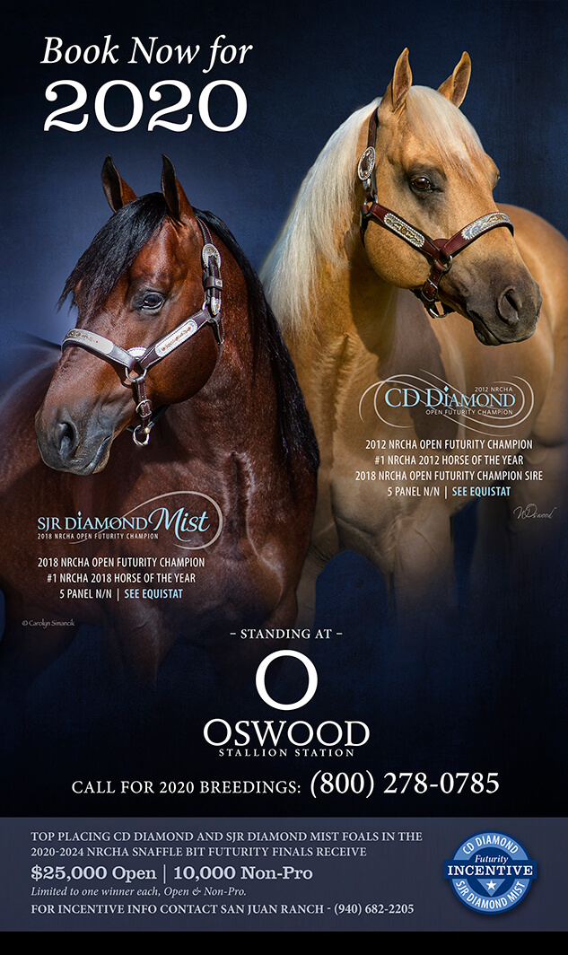 San Juan Ranch - Performance Quarter Horses