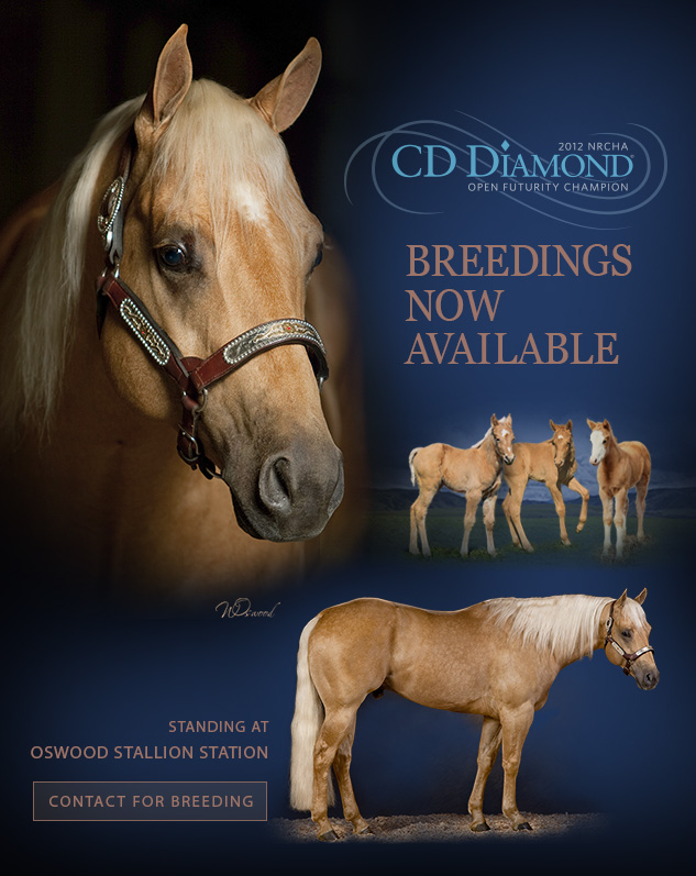 San Juan Ranch - Performance Quarter Horses