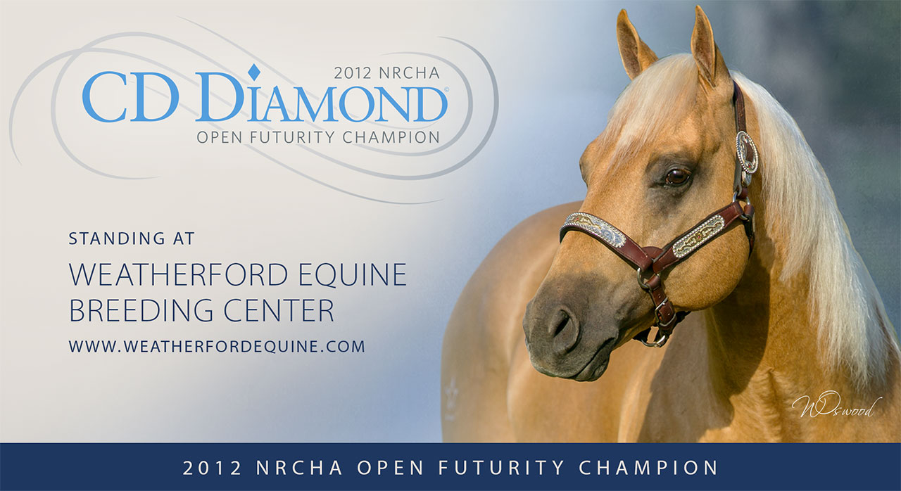 San Juan Ranch - Performance Quarter Horses