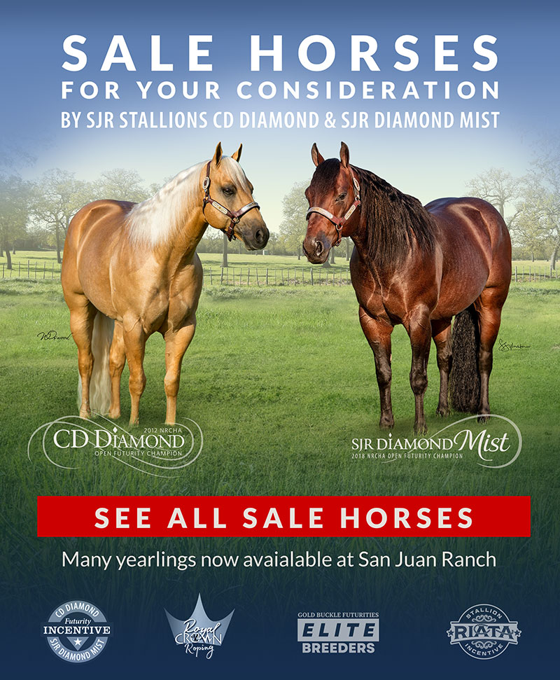 San Juan Ranch - Performance Quarter Horses