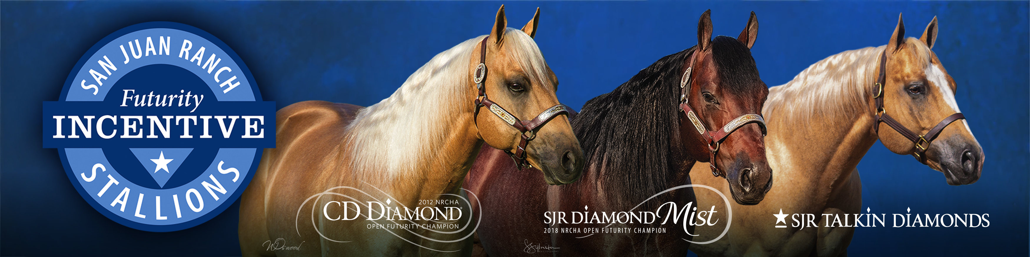 San Juan Ranch - Performance Quarter Horses
