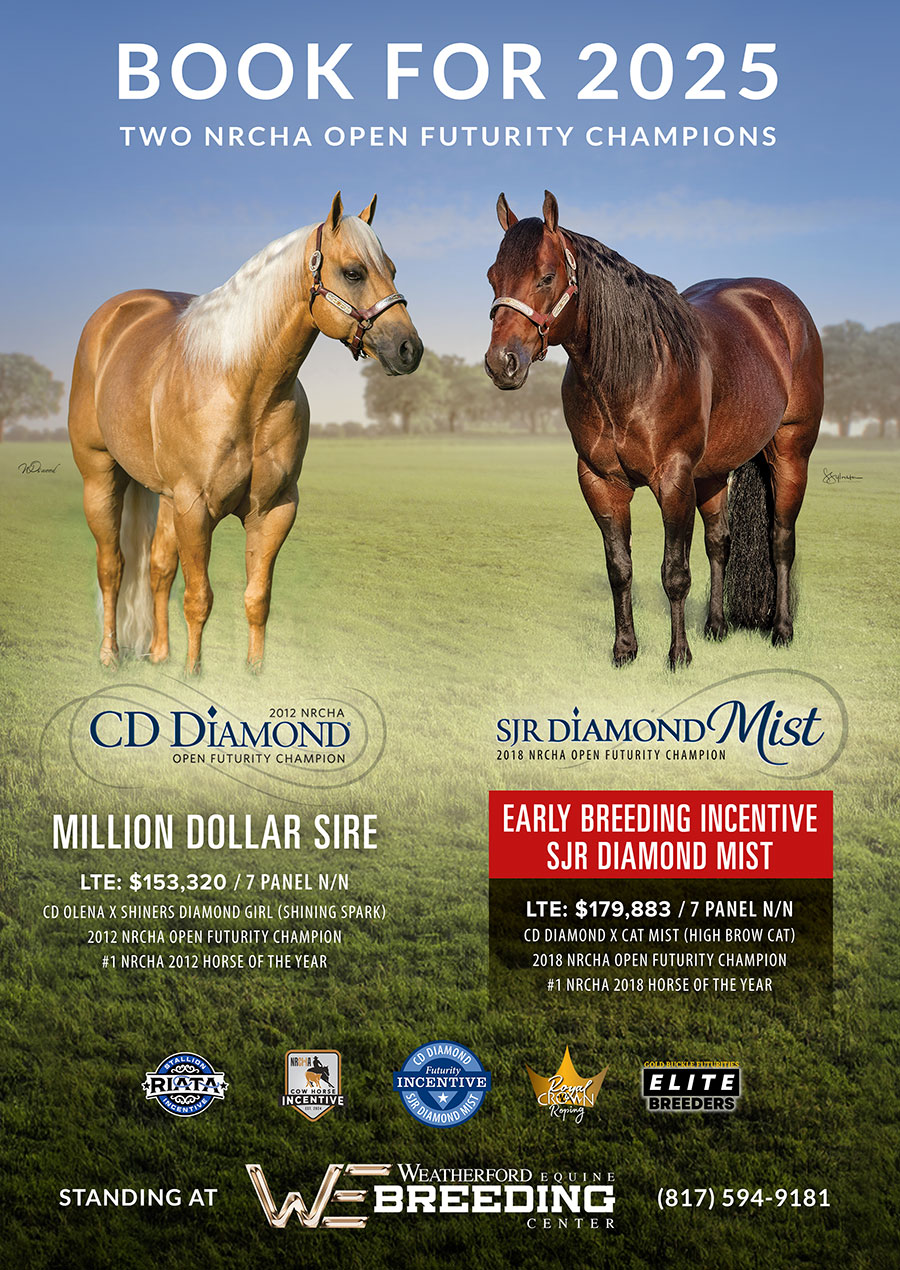 San Juan Ranch - Performance Quarter Horses