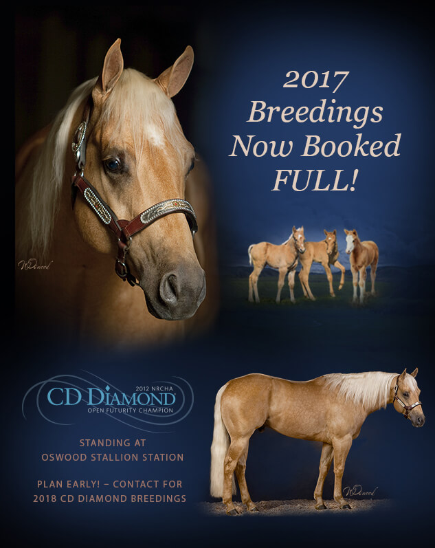 San Juan Ranch - Performance Quarter Horses